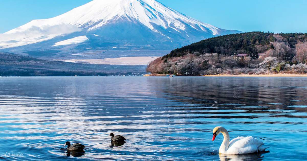 【Monte Fuji & Izu & Hakone】Parque Arakurayama Sengen & Hikawa Watch Shop & Oshino Hakkai & Lago ...